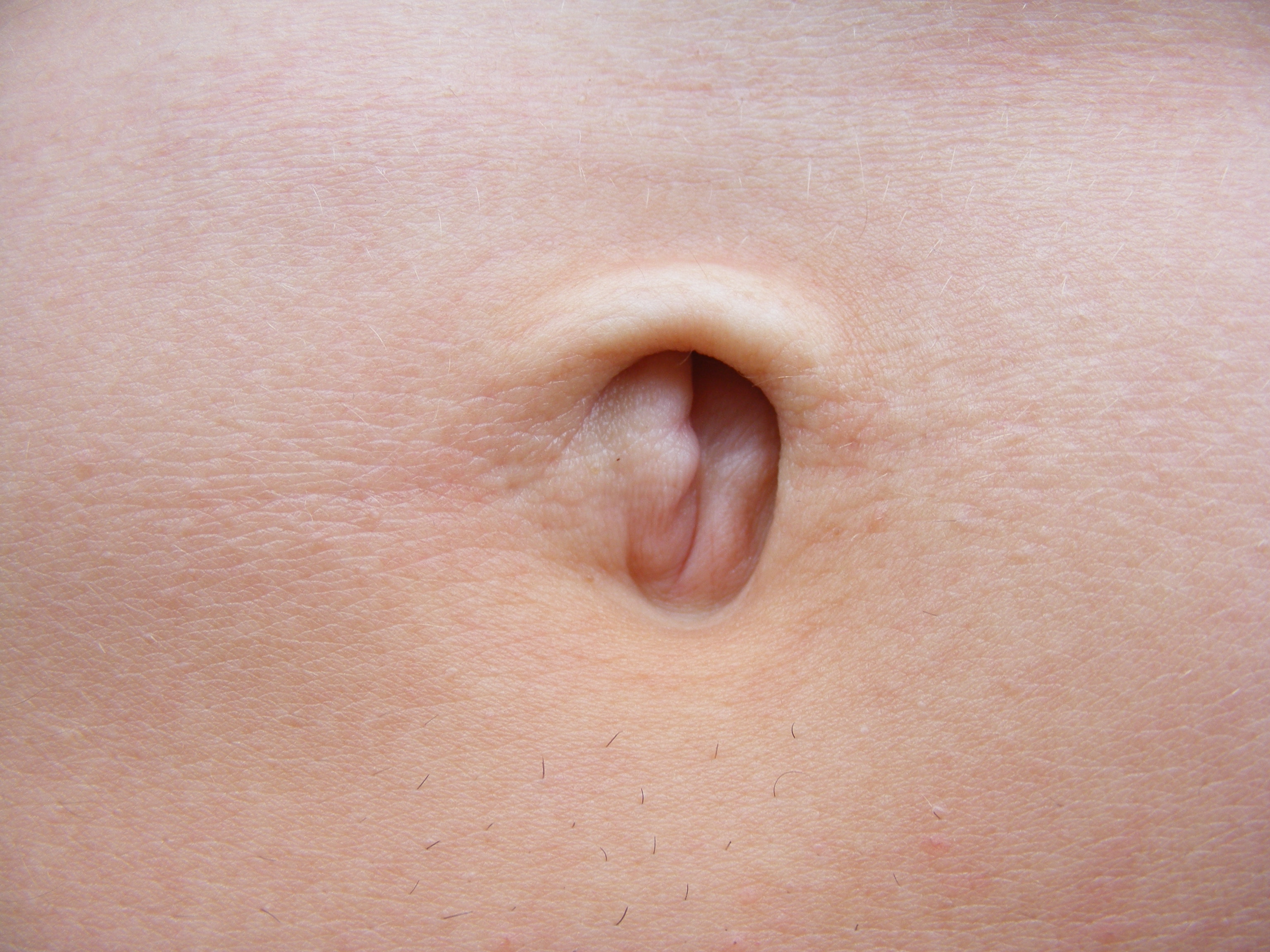 Belly Button Biodiversity Belly Button Biodiversity